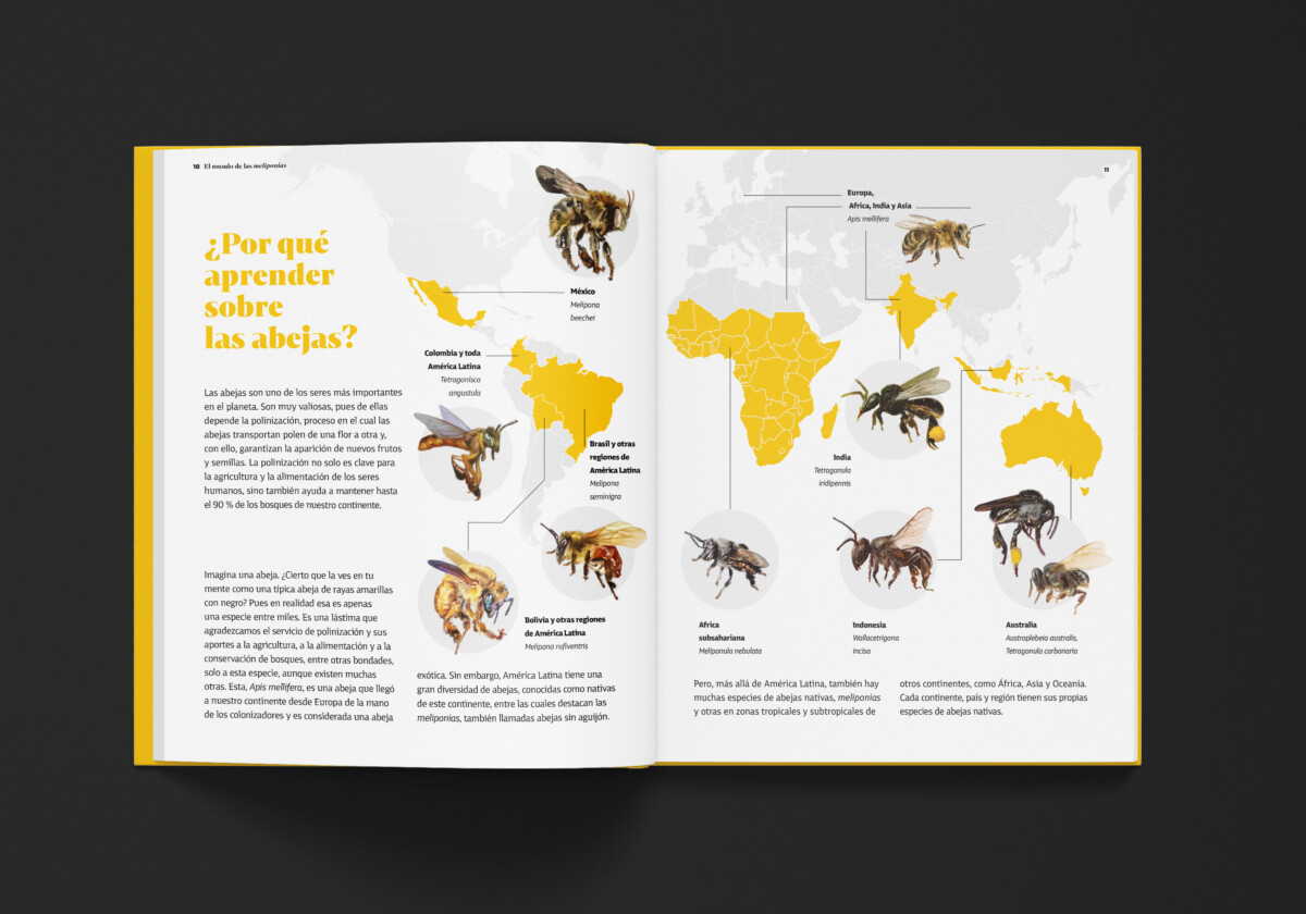 El maravilloso mundo de las abejas latinas | Puntoaparte Editores