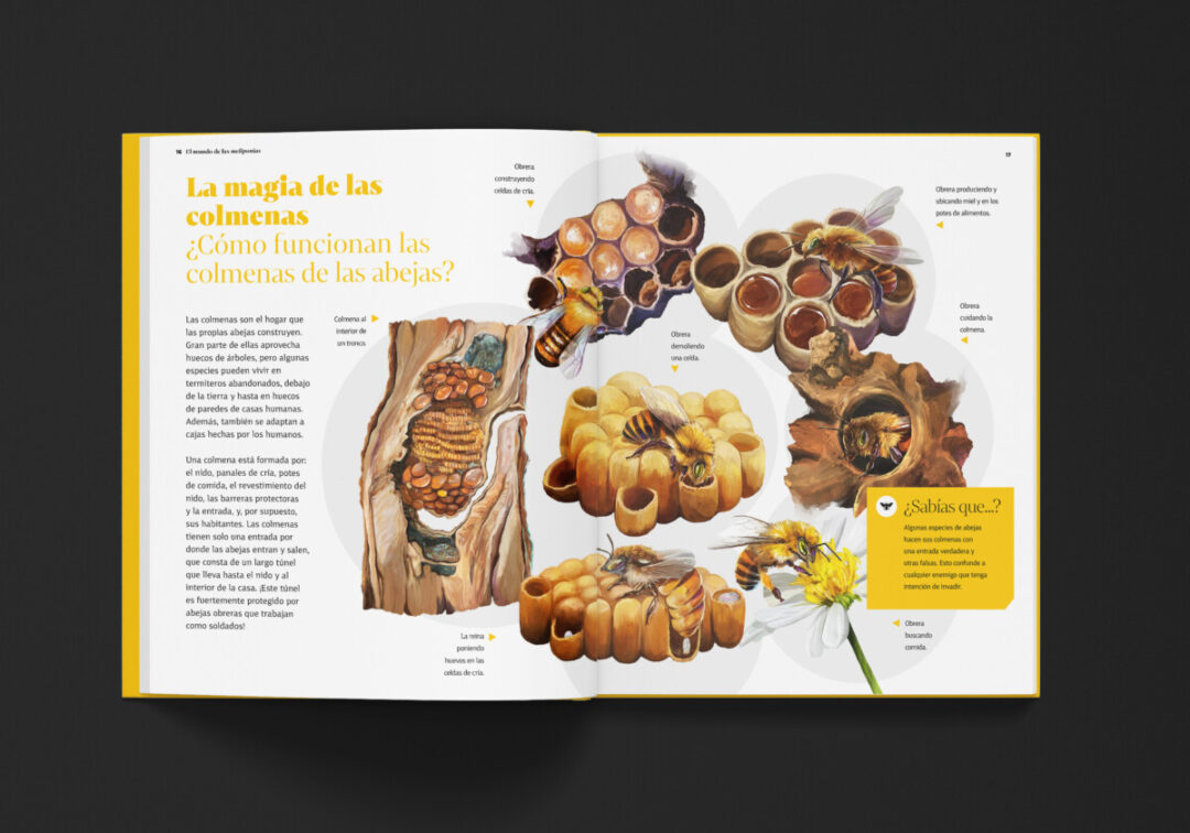 El maravilloso mundo de las abejas latinas | Puntoaparte Editores