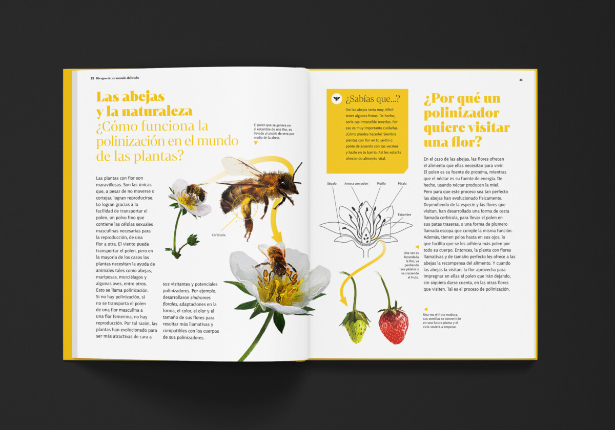 El maravilloso mundo de las abejas latinas | Puntoaparte Editores
