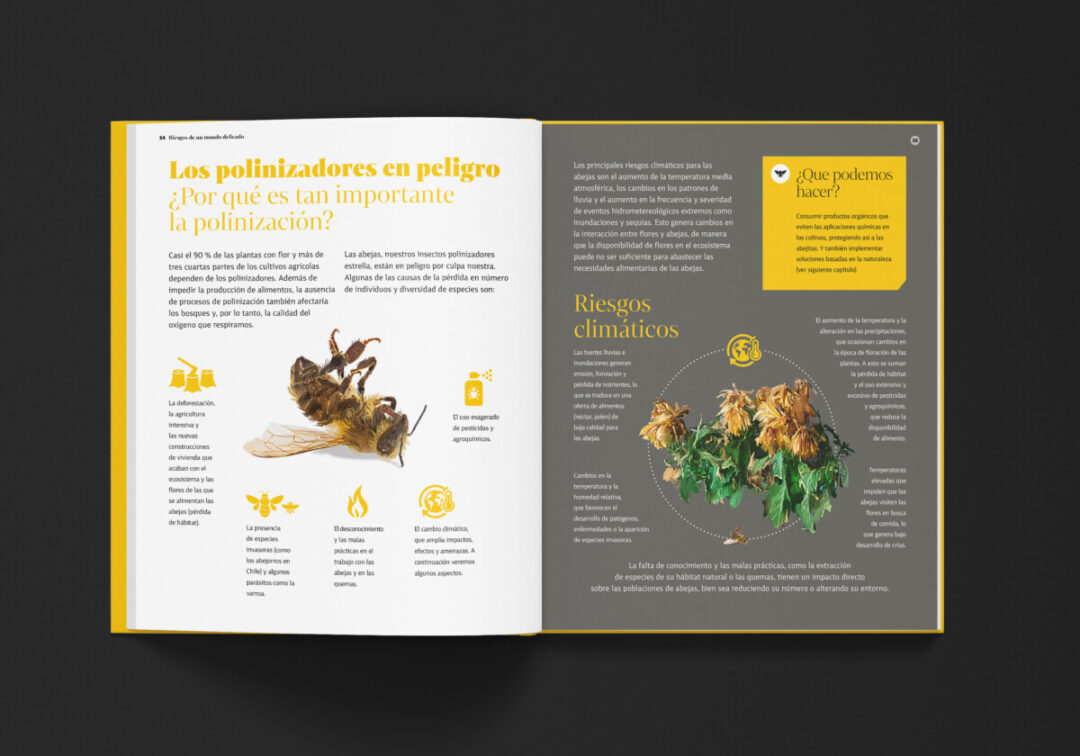 El maravilloso mundo de las abejas latinas | Puntoaparte Editores